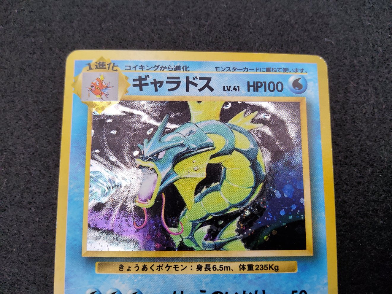 Leviator / Gyarados Holo (EXP) – Retro Japan
