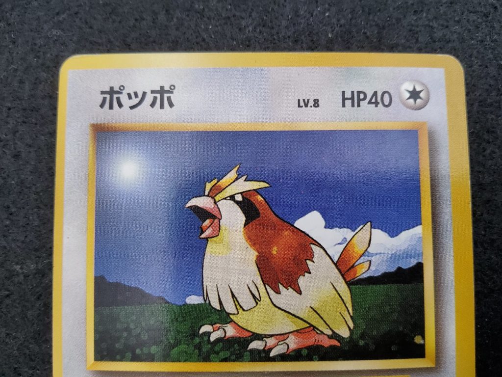 Roucool / Pidgey (EXP) No Rarity – Retro Japan