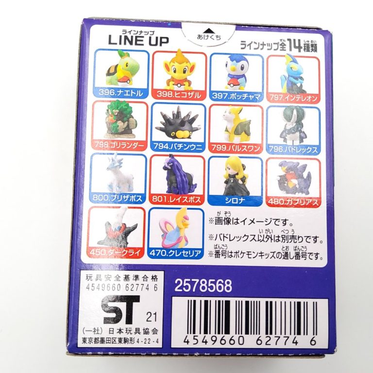 Pokemon Kids Sinnoh Region & Galar Region Edition – Sylveroy / Calyrex ...