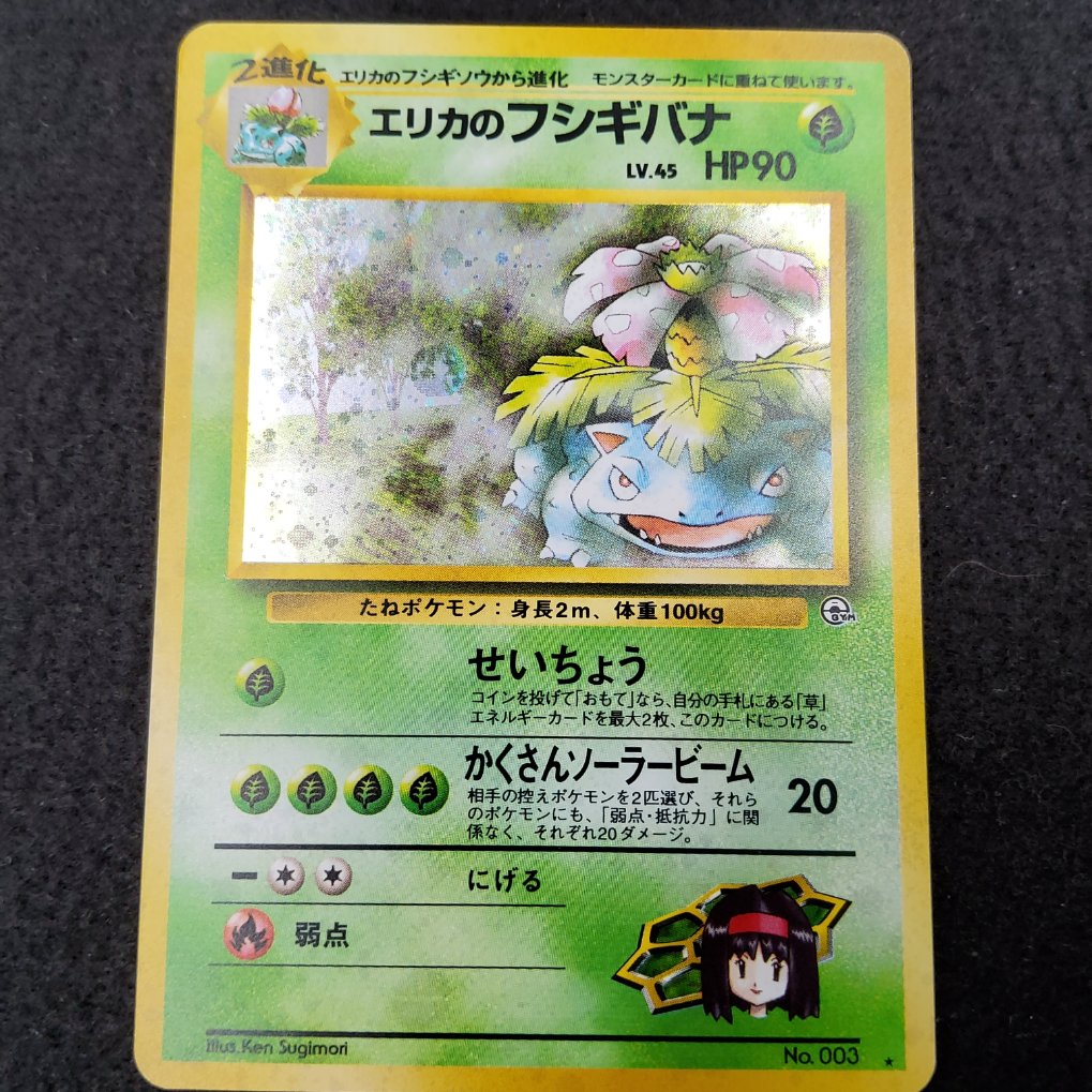 Florizarre d’Erika / Erika’s Venusaur Holo (CFTD) – Retro Japan