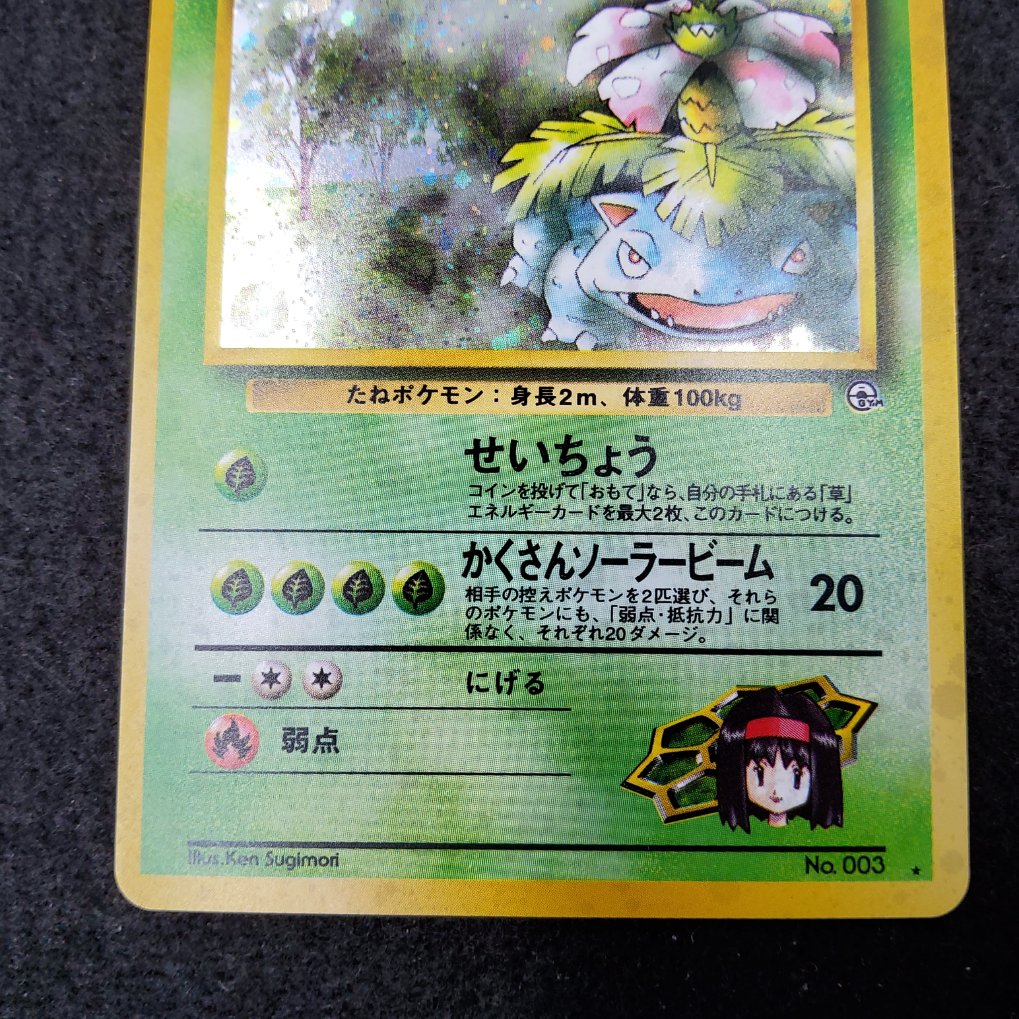 Florizarre d’Erika / Erika’s Venusaur Holo (CFTD) – Retro Japan